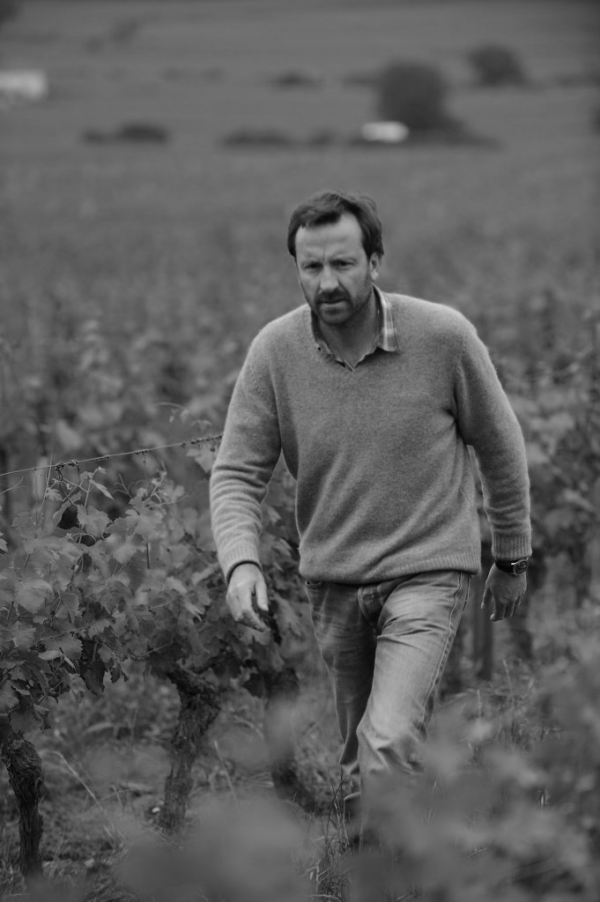 Thierry Germain Saumur Blanc Clos Roman 2016 – NASTI MARCHAND DE VIN